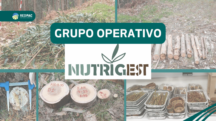 El Grupo Operativo Nutrigest investiga para aumentar la productividad en las plantaciones ...